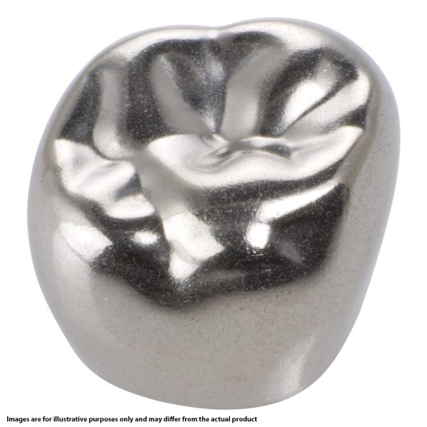 3M Solventum Stainless Steel Permanent Molar Crown Lower Right No. 6-LR ...
